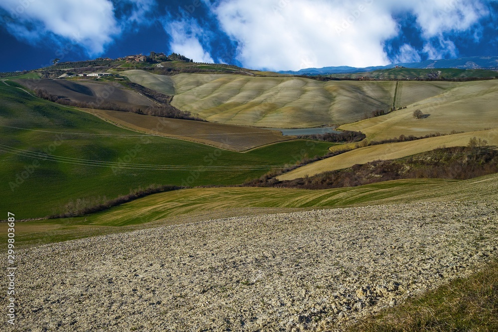 Crete senesi are literally ‘Senese clays’, and the distinctive grey ...