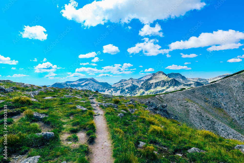 Amazing alpine mountain landscape, sunny hiking trail, grass and rocks ...