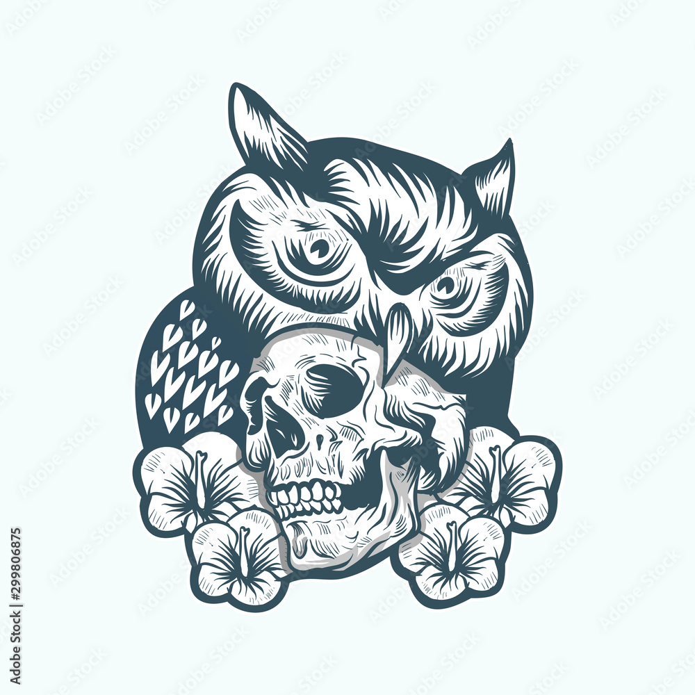 Owl Skull Illustration