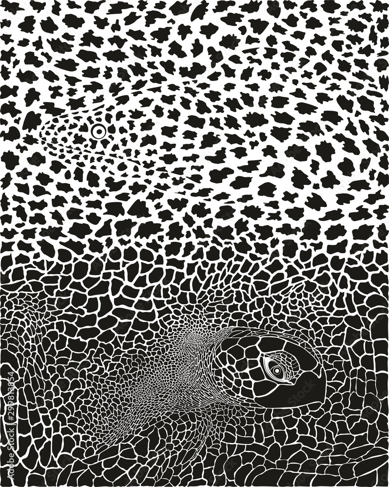 murena, animal, turtle, kareta, abstract, background, head, drawing ...