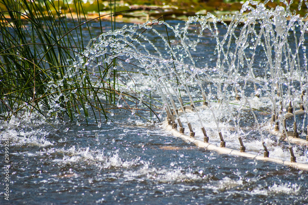 Water spring fountain ir park pond. Water sprays from metal nozzles ...