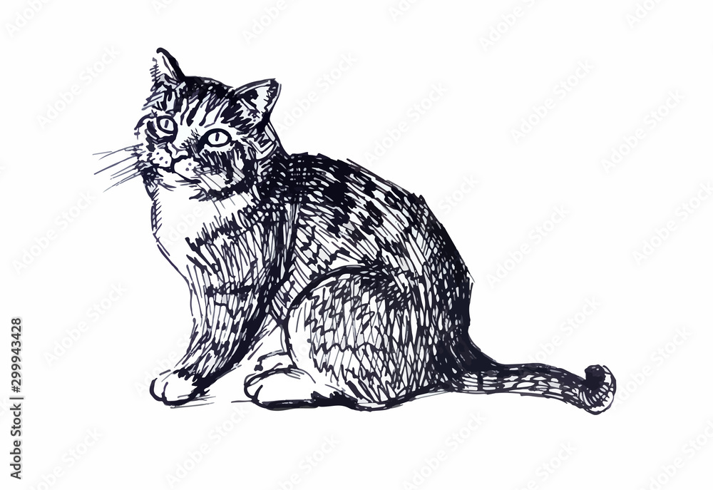 Cute cat. Line drawing. Black and white illustration Stock Vector ...