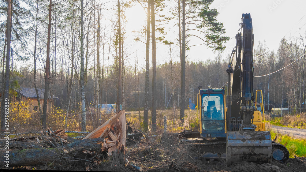 a large and heavy crawler excavator fells trees and contorts stumps in ...