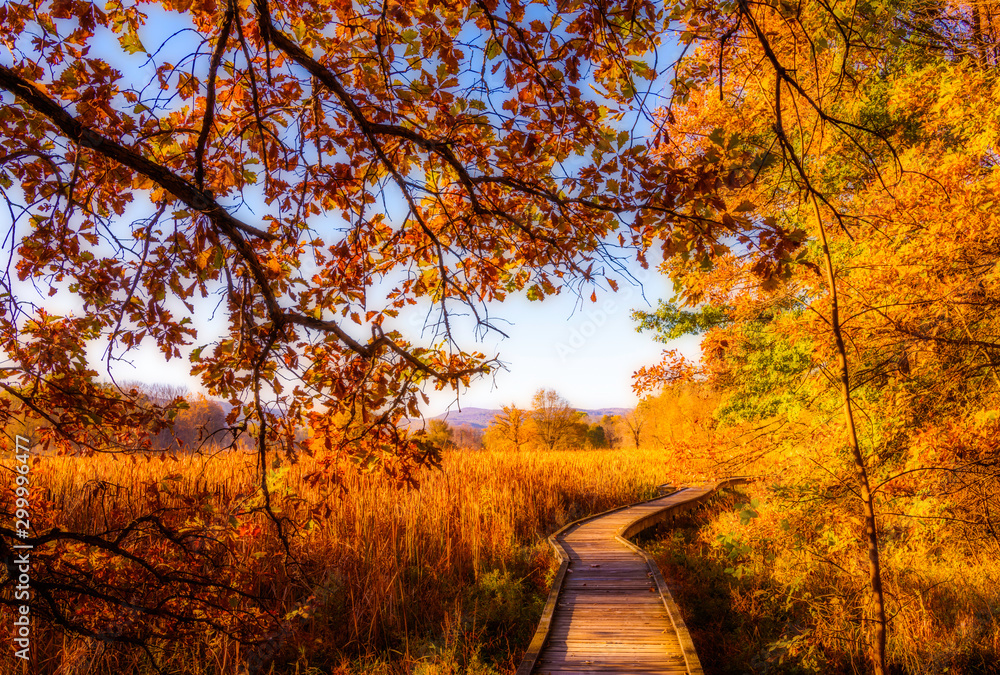 Beautiful morning over the boardwalk in Wawayanda state park. Stairway ...