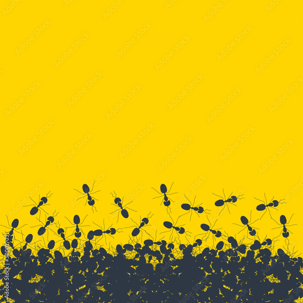 Ants Cooperating Posters