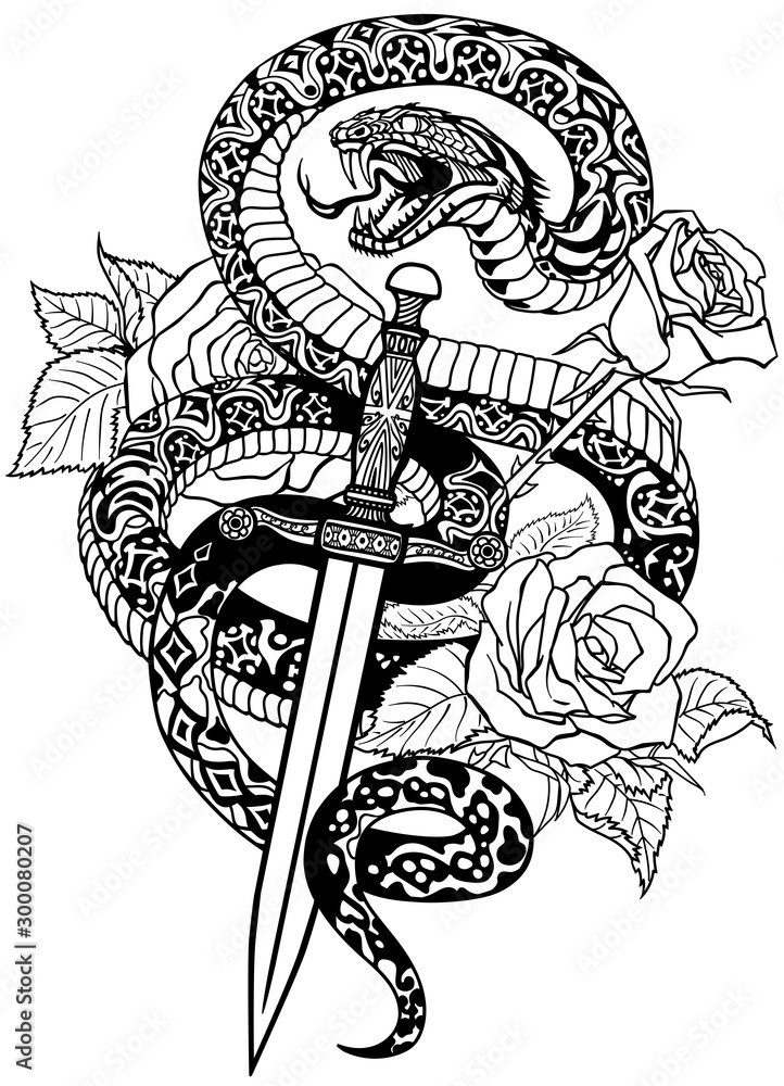 snake coiled round the roses and dagger. Angry dangerous serpent ...