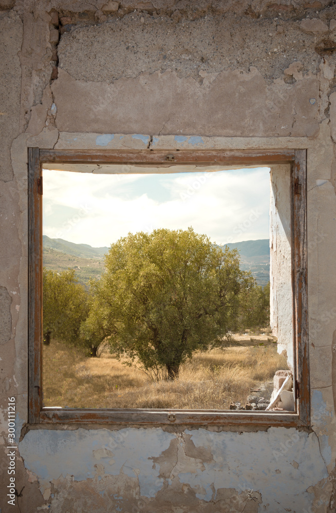 Views of a tree and mountains from the window of an old house in the ...