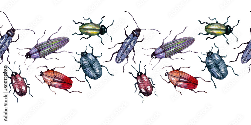 Watercolor background picture Border with beetles Stock Illustration ...