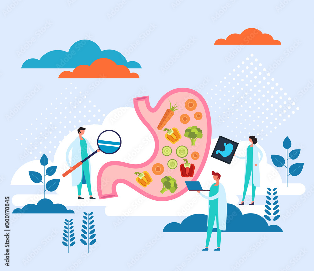 Stomach health gastroenterology concept. Vector flat graphic design ...