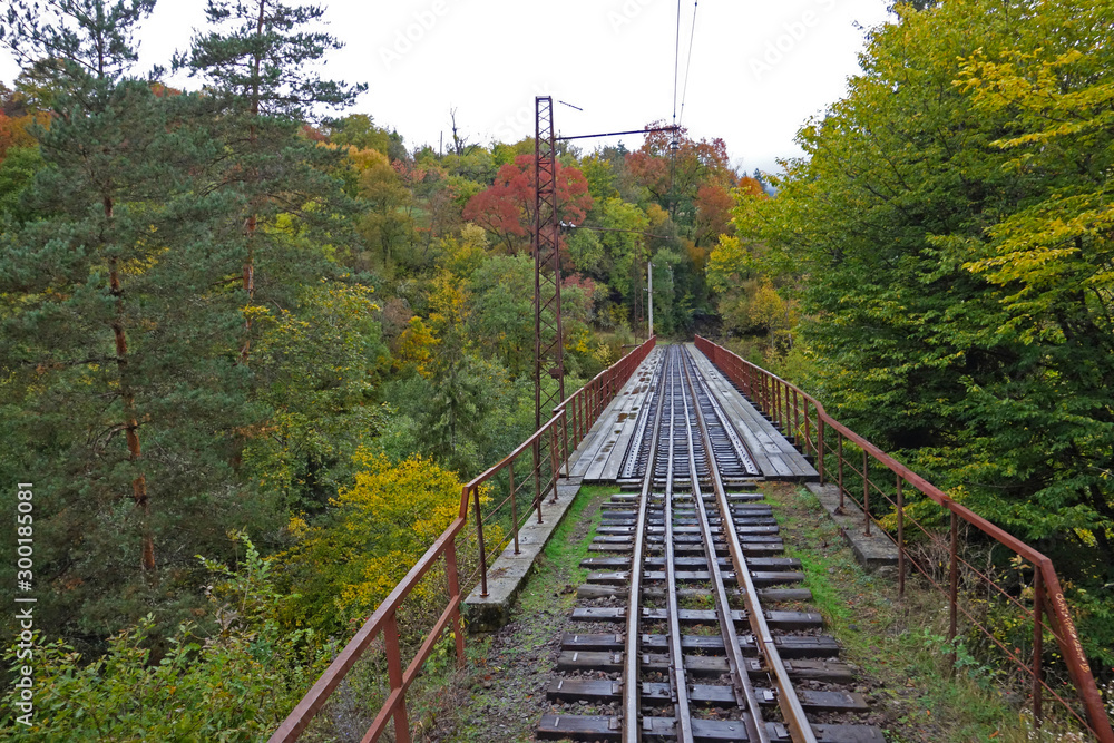 Borjomi-Bakuriani narrow gauge railway known as "Kukushka". Railroad ...