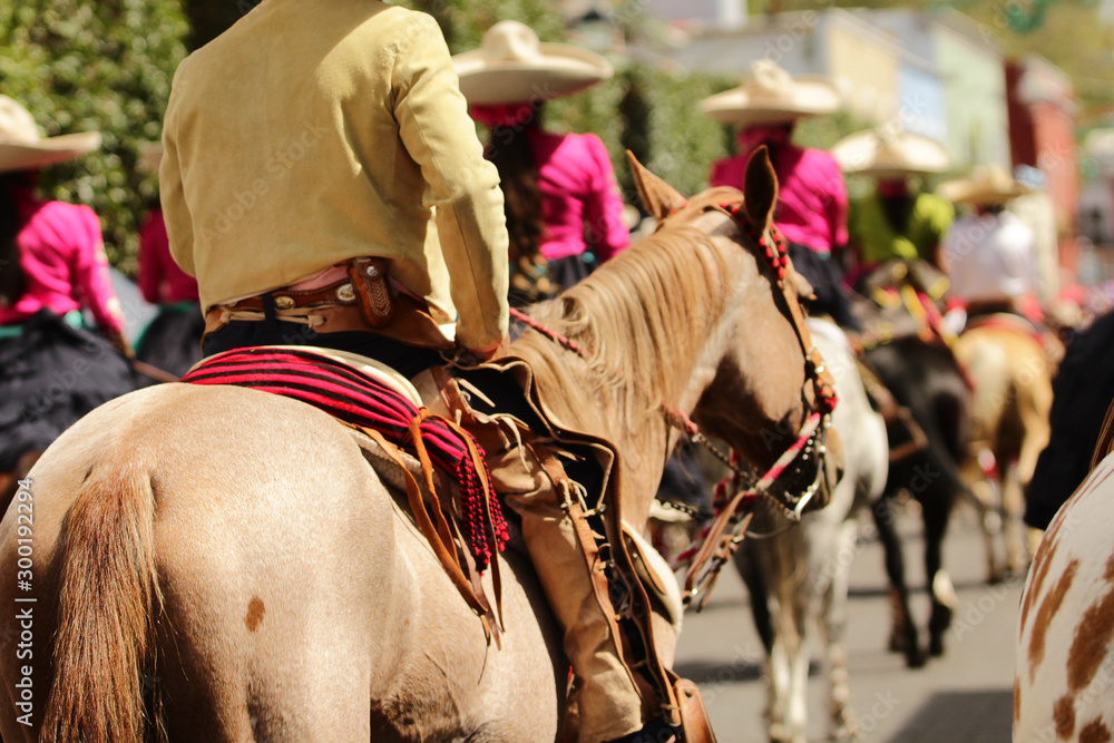 the back of a mexican charro with traditional mexican costume on his ...