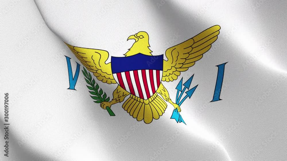 United States Virgin Islands US State flag waving loop. United States ...
