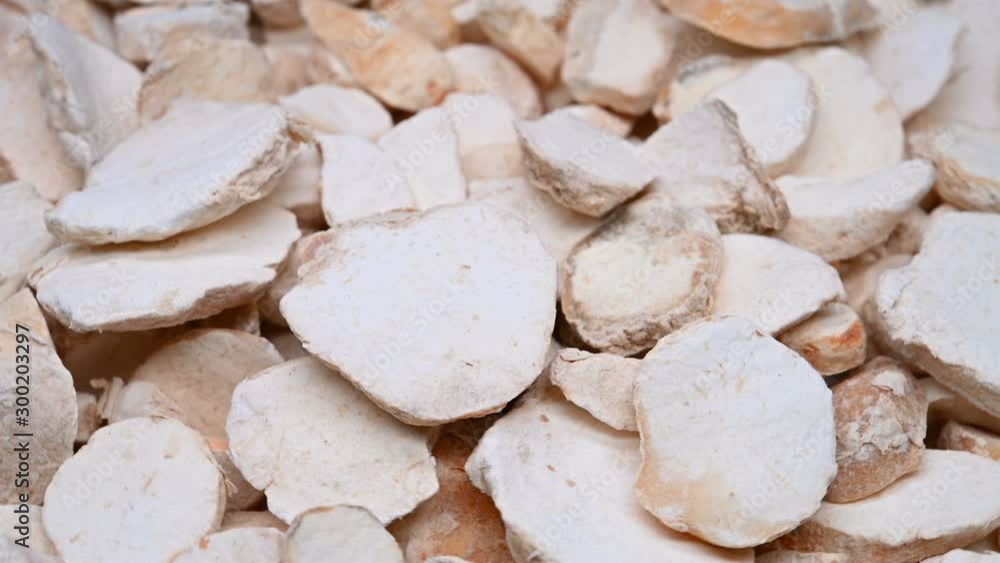 side view herb medicine ShengBanXia or Pinelliae Rhizoma or raw Ternate ...