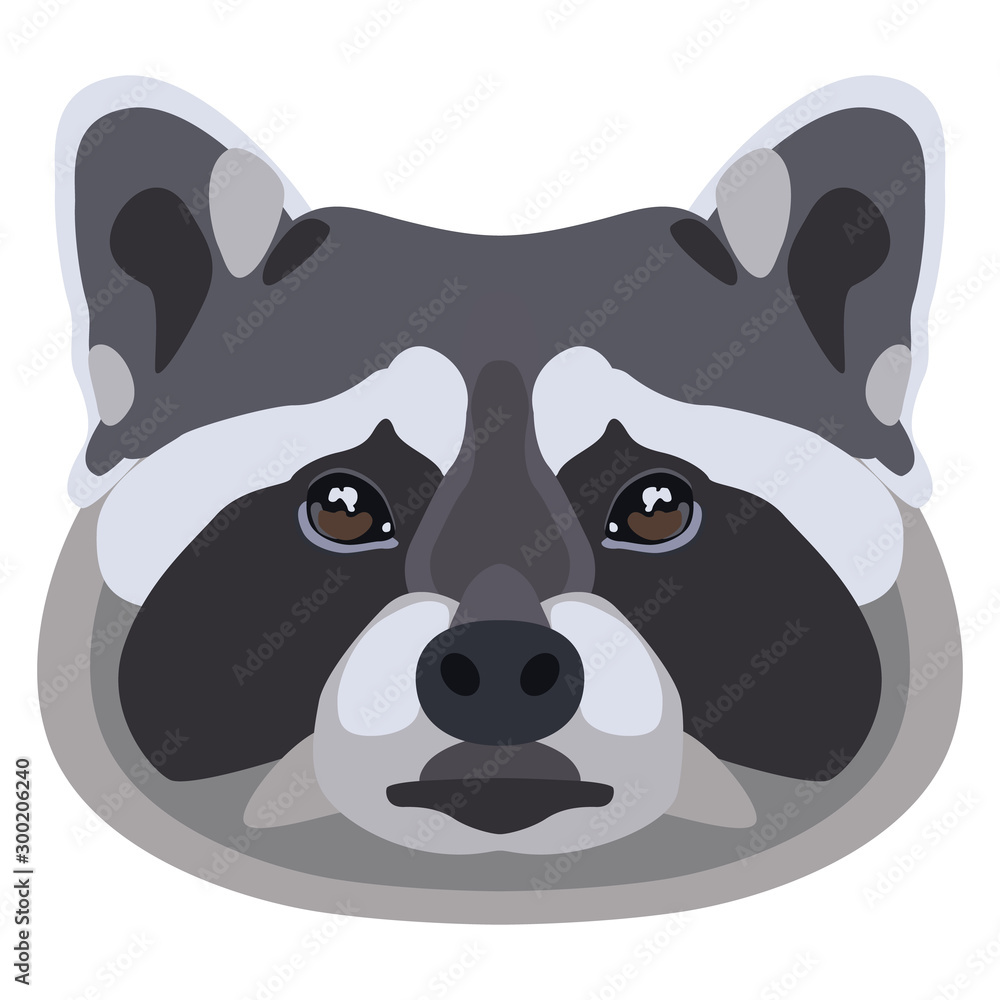 Stylized face of raccoon. Animal mask template. Isolated vector ...