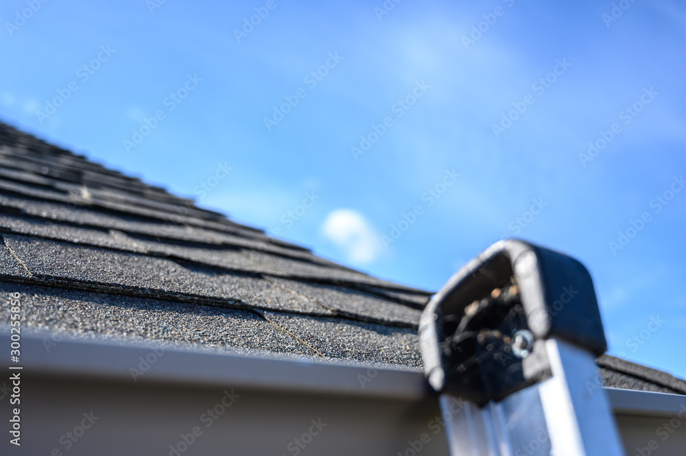 extension step ladder against side of roof Stock Photo | Adobe Stock