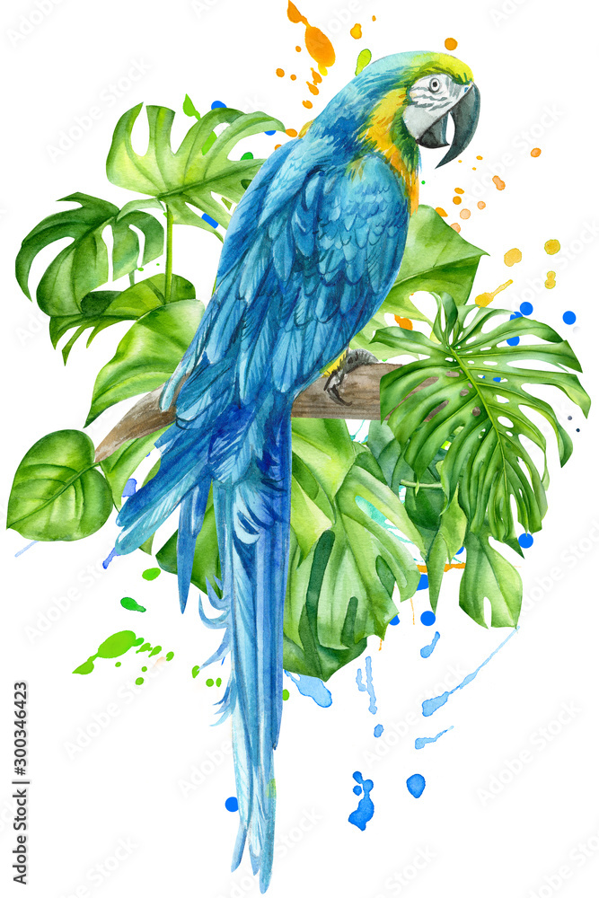 parrot bird and leaves of tropical plants, palm trees, monstera on an ...