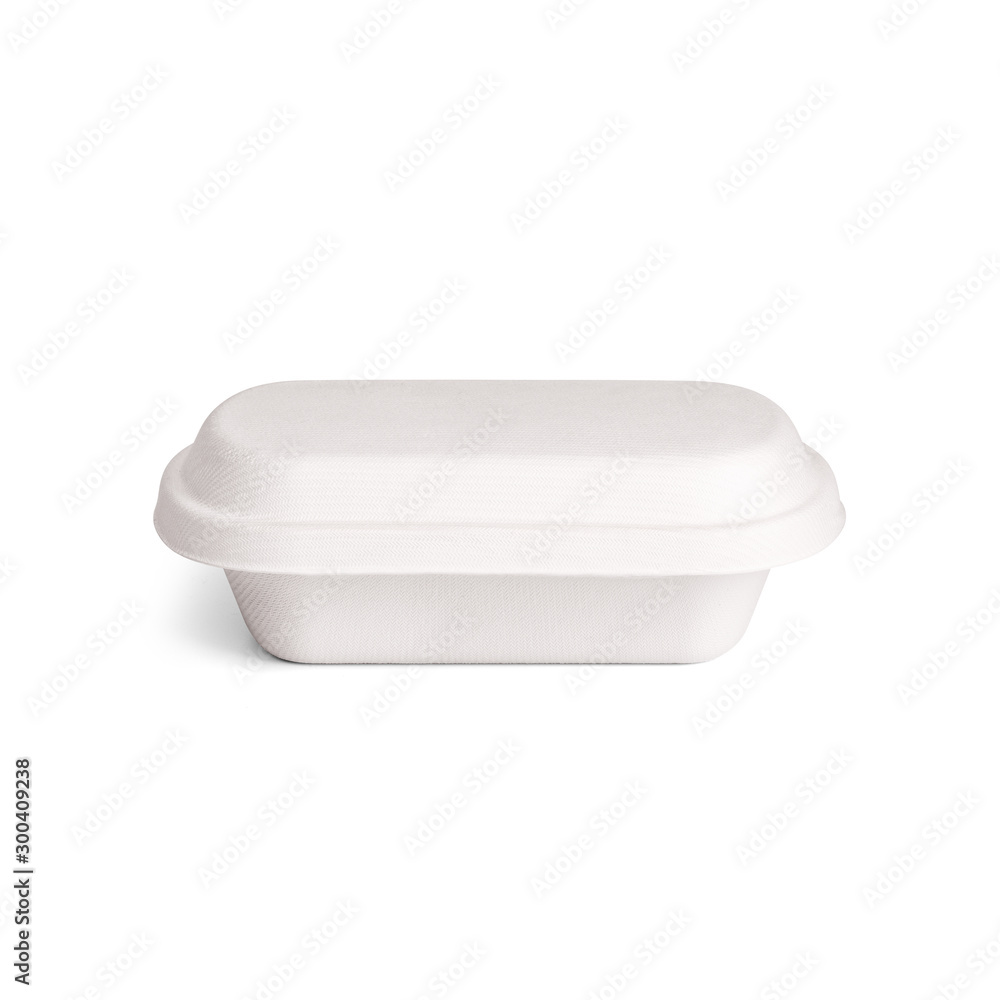 Paper lunch box food tray container isolated on white background. Front ...