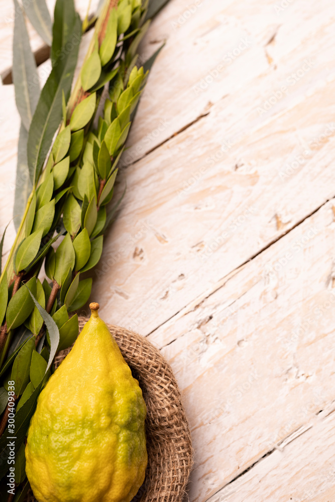 Lulav on jute fabric and wood background with a copy space. Composition ...