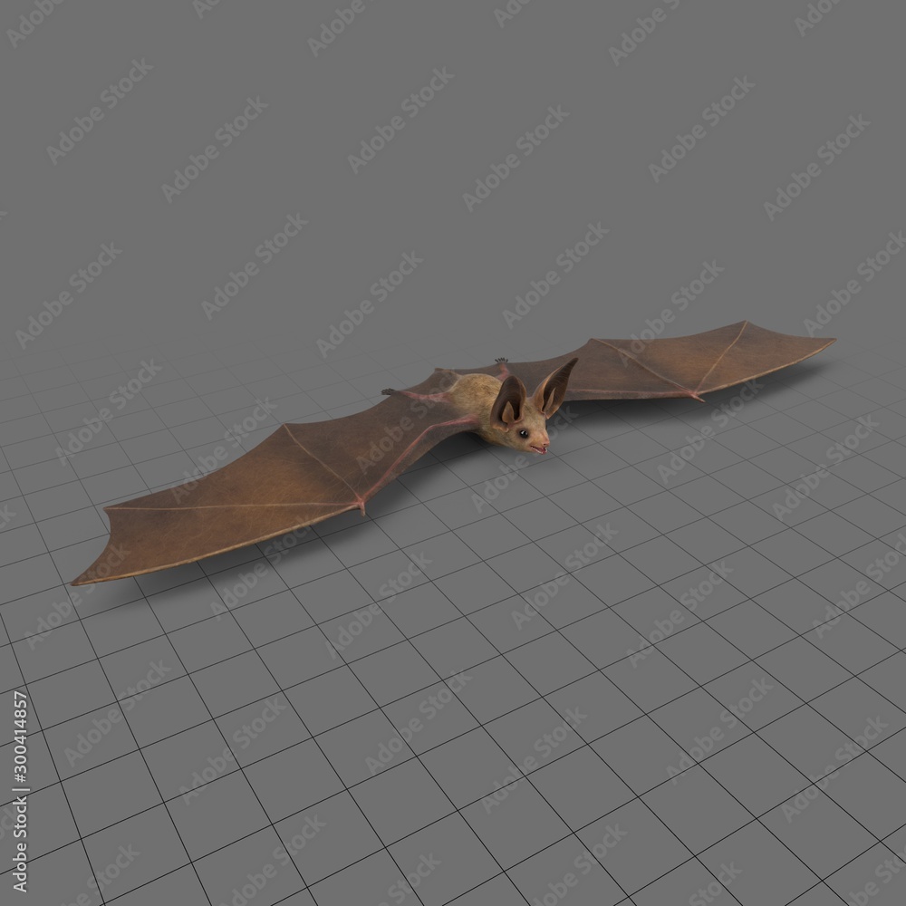 Bat Stock 3D asset | Adobe Stock