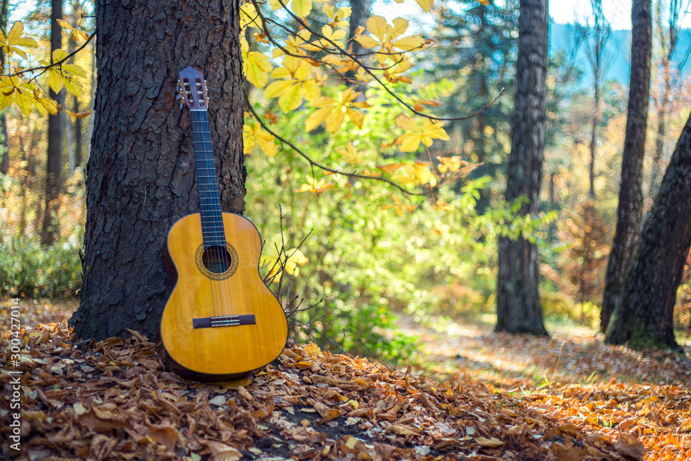 Classical guitar leaning against tree Stock Photo | Adobe Stock