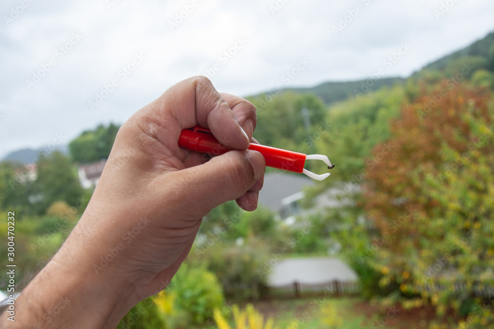 Red Extractor for removing ticks,TICK TWISTER in a hand Stock Photo ...