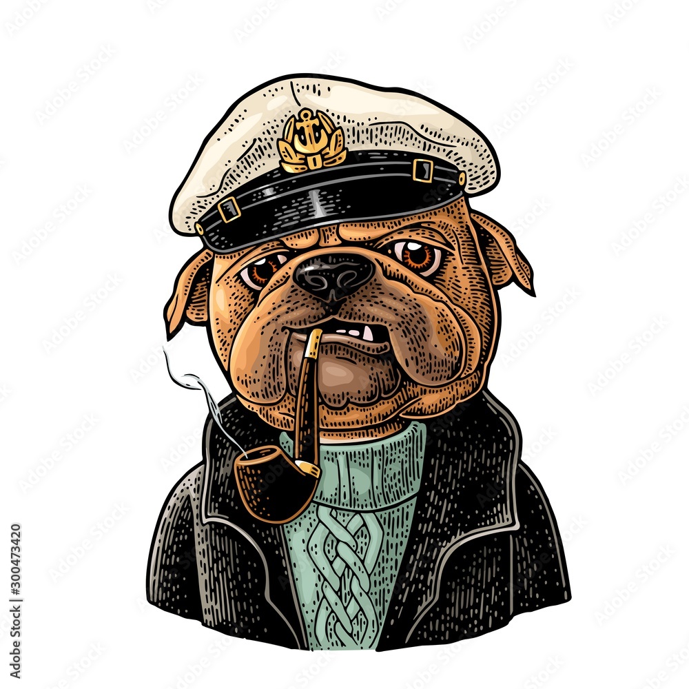 Captain Hat For Dogs