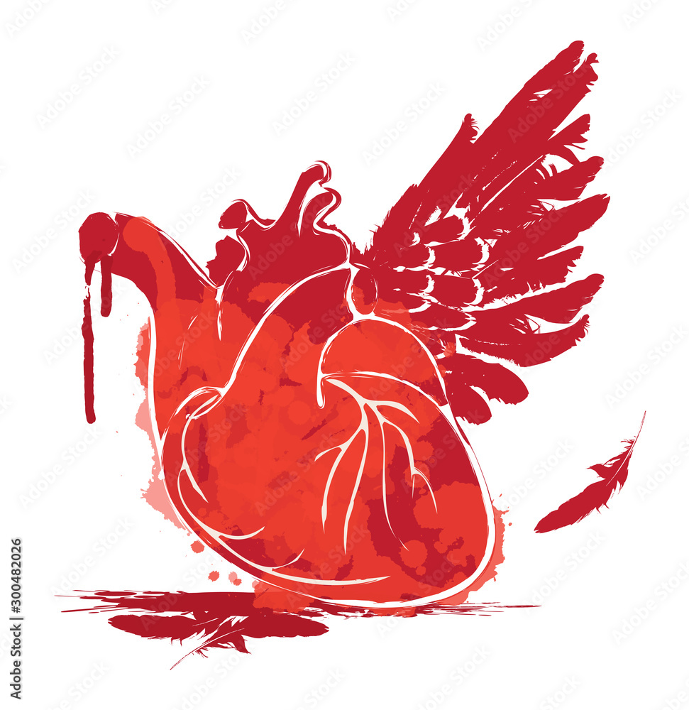 Vector graphic abstract illustration of human heart with one wing and ...