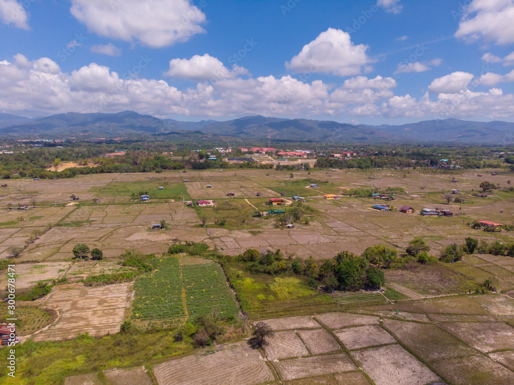 Aerial Of Rice Fields In Dry Season With Drought with beautiful rural ...