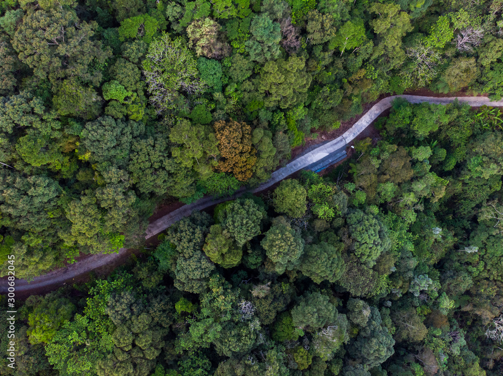 Amazing drone footage of beautiful nature deep rainforest jungle on ...
