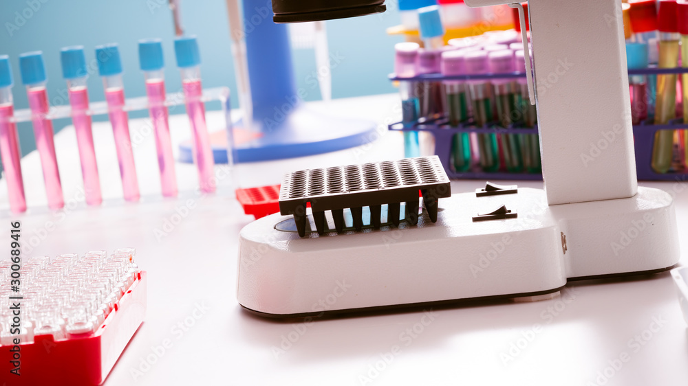 Laboratory of genetic research. PCR plates and multichannel pipettes ...