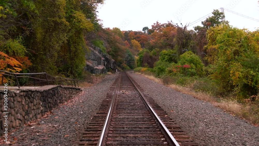 Birds eating roadkill on train tracks fly away to autumn colored trees ...