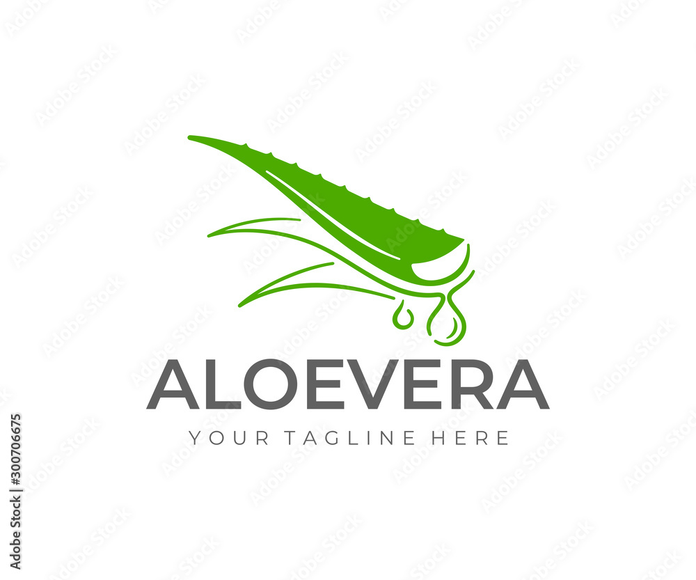 Aloe vera plant logo design. Herbaceous plant and drop vector design ...