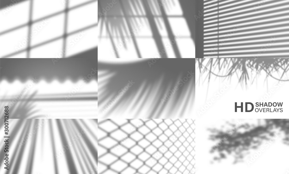 Set of organic transparent shadows for natural light effects, Vector ...