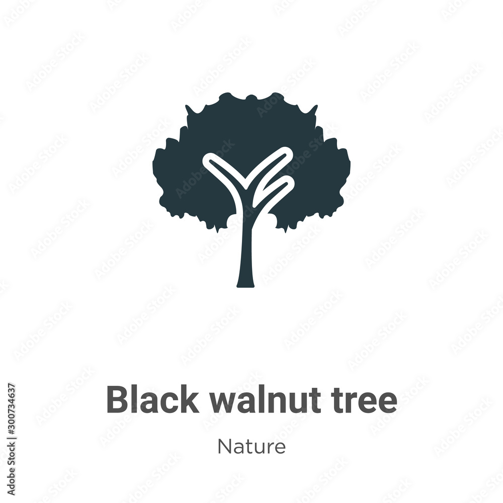 Black walnut tree vector icon on white background. Flat vector black ...