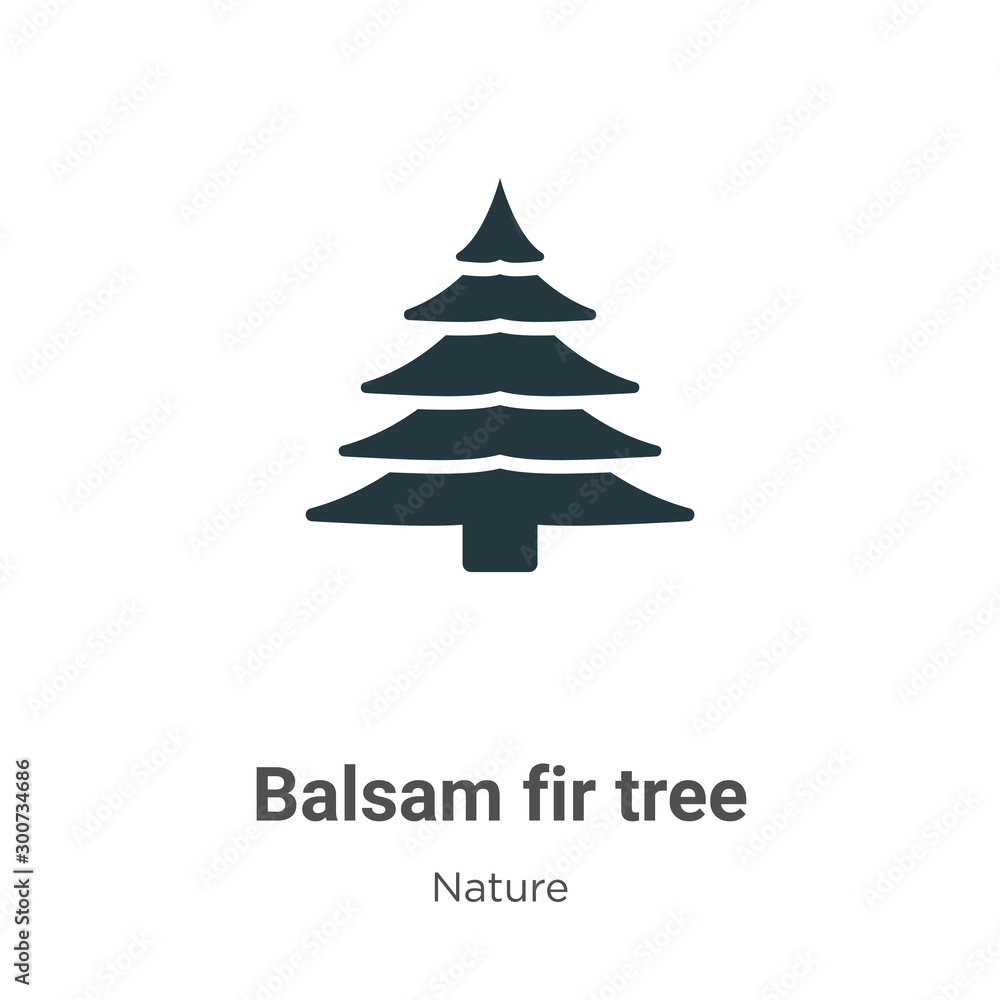 Balsam fir tree vector icon on white background. Flat vector balsam fir ...