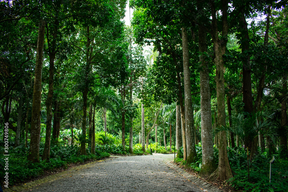O Parque Henrique Lage é uma incrível mistura entre arquitetura e ...