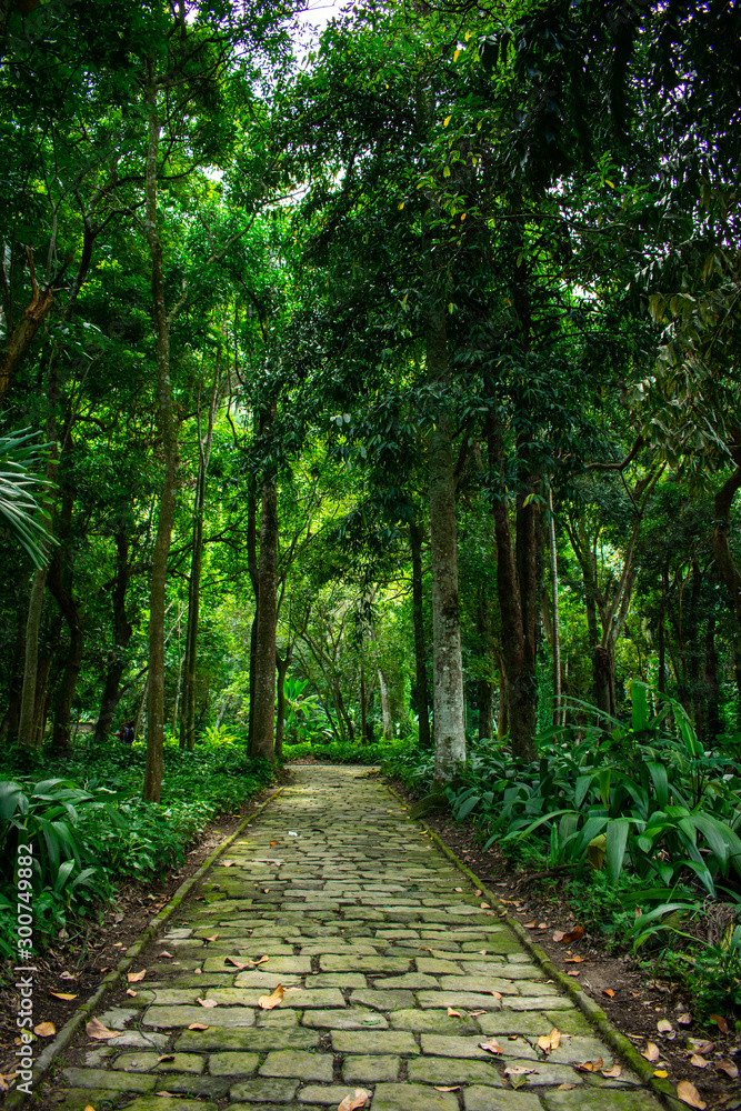 O Parque Henrique Lage é uma incrível mistura entre arquitetura e ...