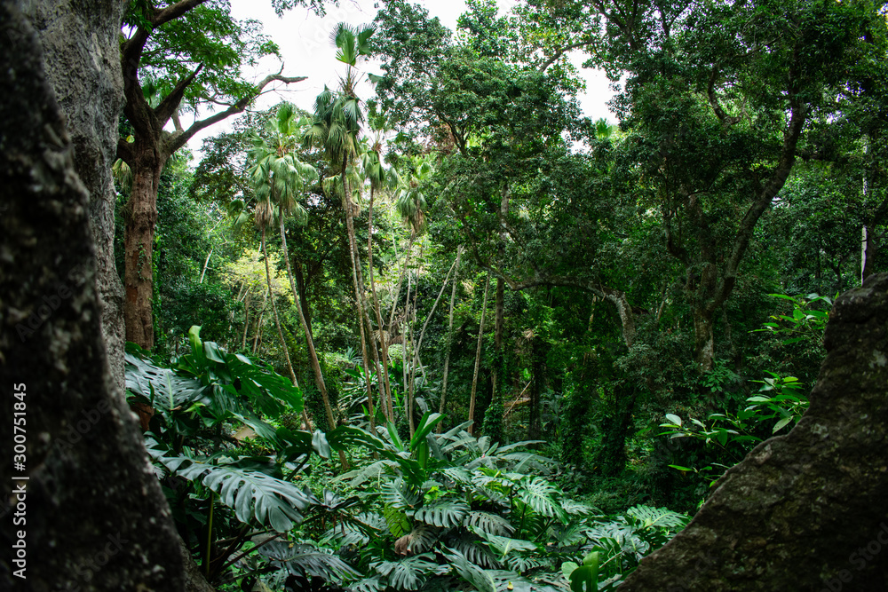 Foto de O Parque Henrique Lage é uma incrível mistura entre arquitetura ...