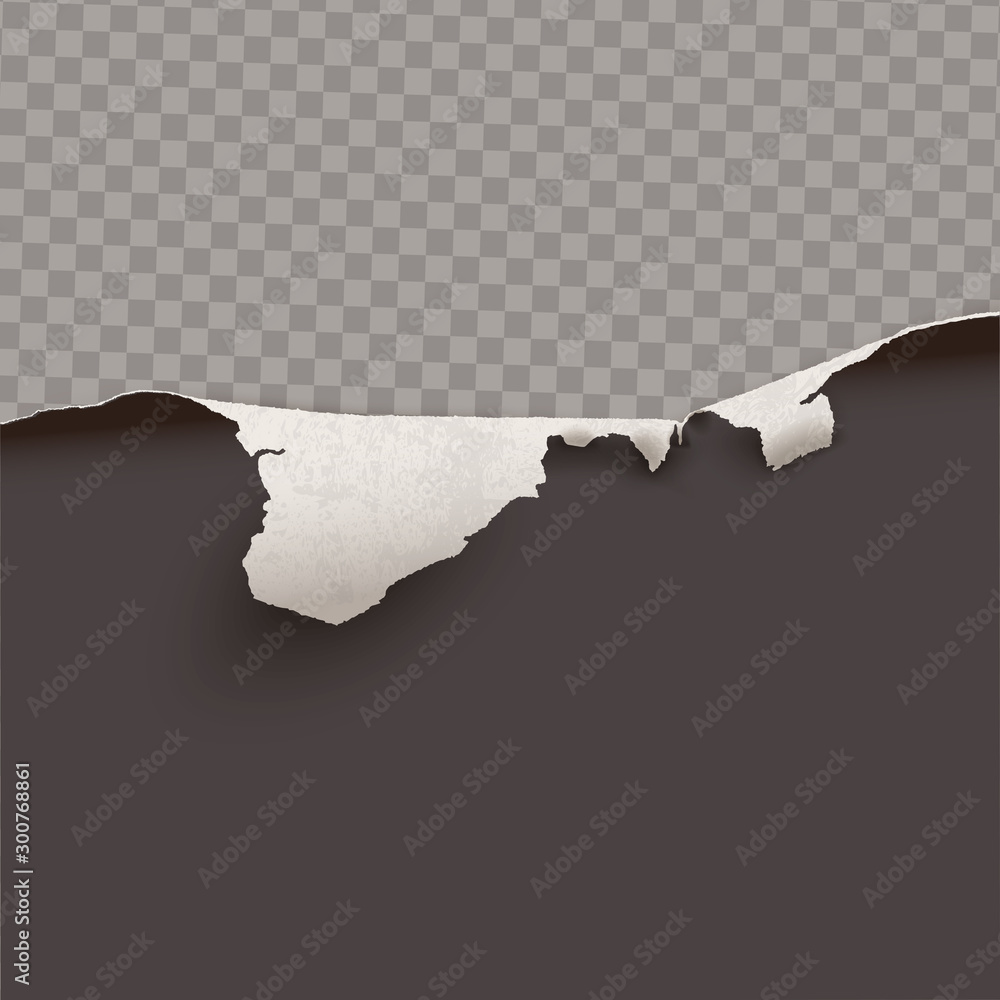 Torn Edge Paper Background