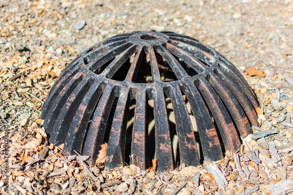 Catch basin atrium grate over storm water drain surrounded by mulch ...