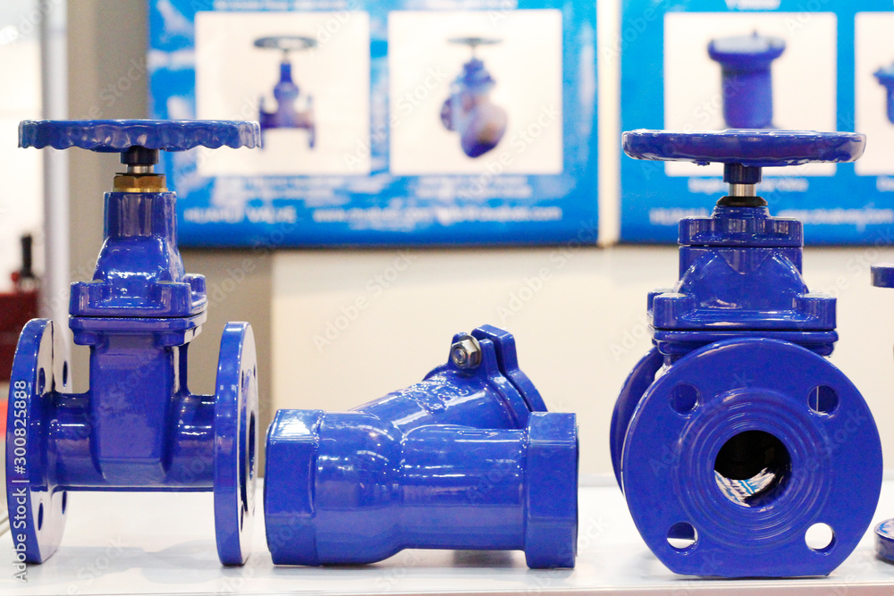 The valve with a rubber wedge is presented in a section. Blue cast iron ...