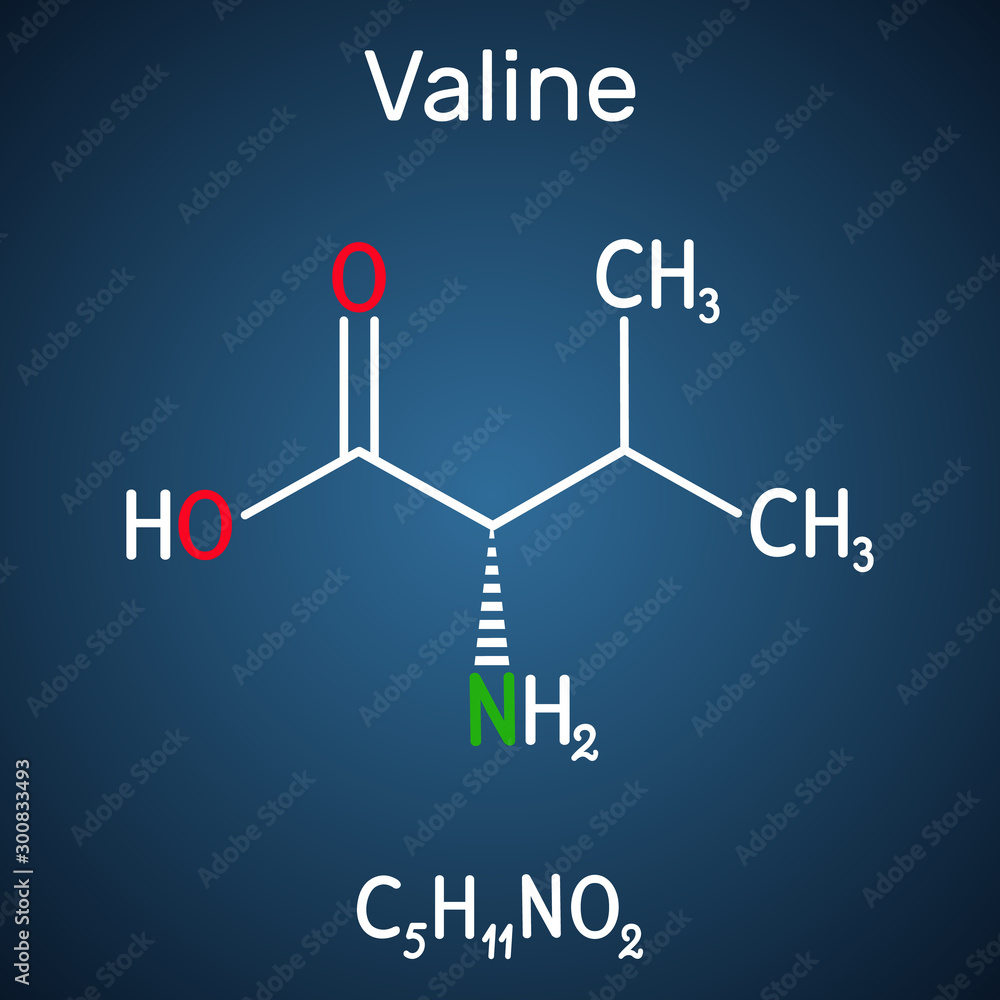 Valine, Val molecule, is α-amino acid . It is used in the biosynthesis ...