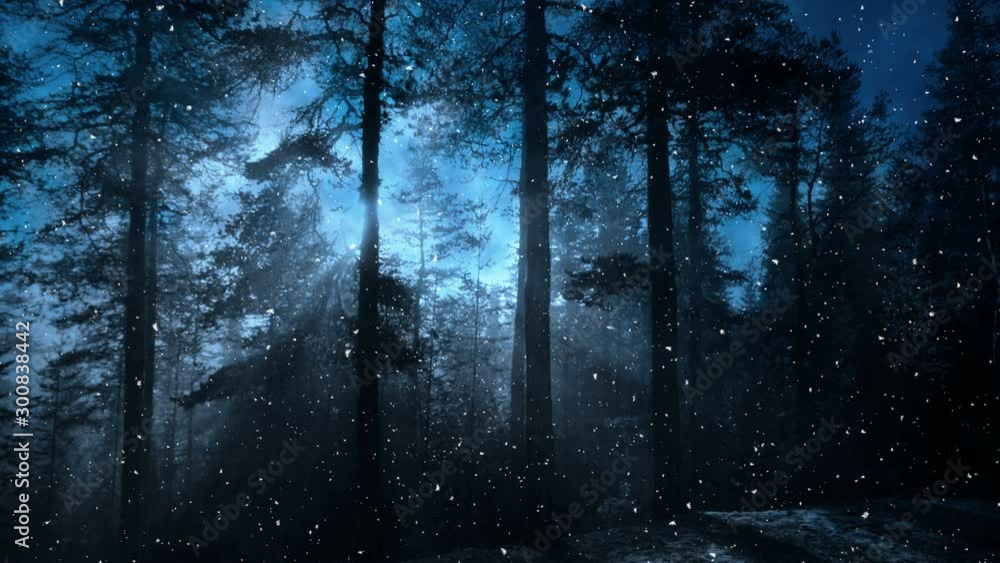 Blue Winter Night Background And Falling Snow Stock Video | Adobe Stock