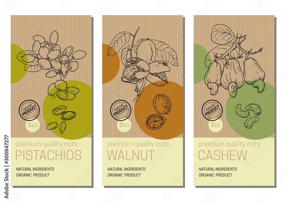 Vector set of labels with nuts sketches: pistachios, walnut, and cashew ...