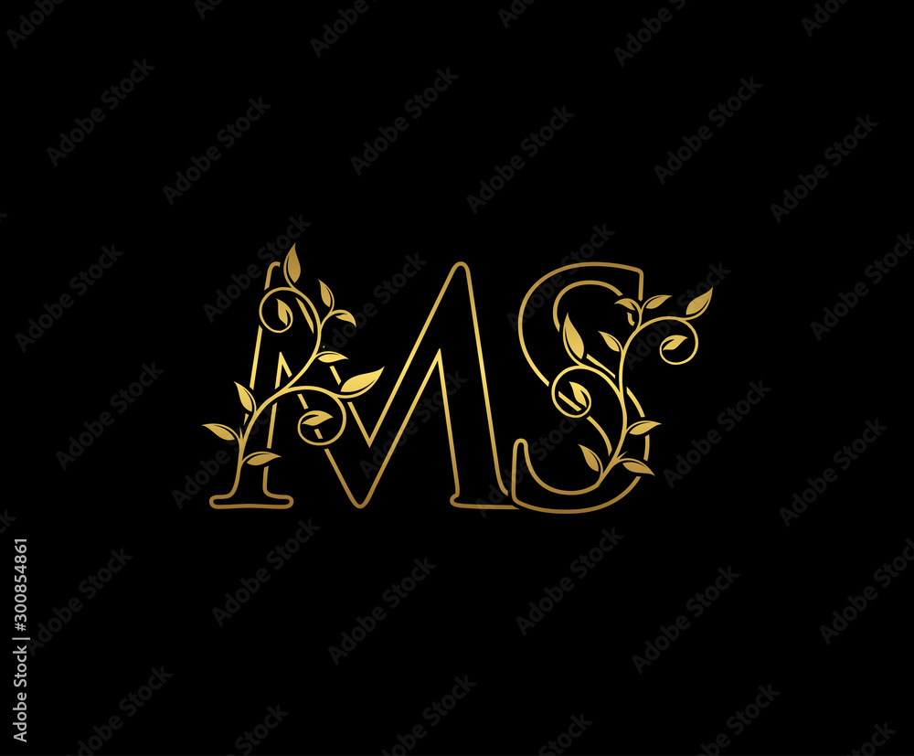 Golden letter M and S, MS vintage decorative ornament emblem badge ...