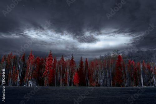 Infrared Photography | The largest selection of gifts and posters | 3+1 ...
