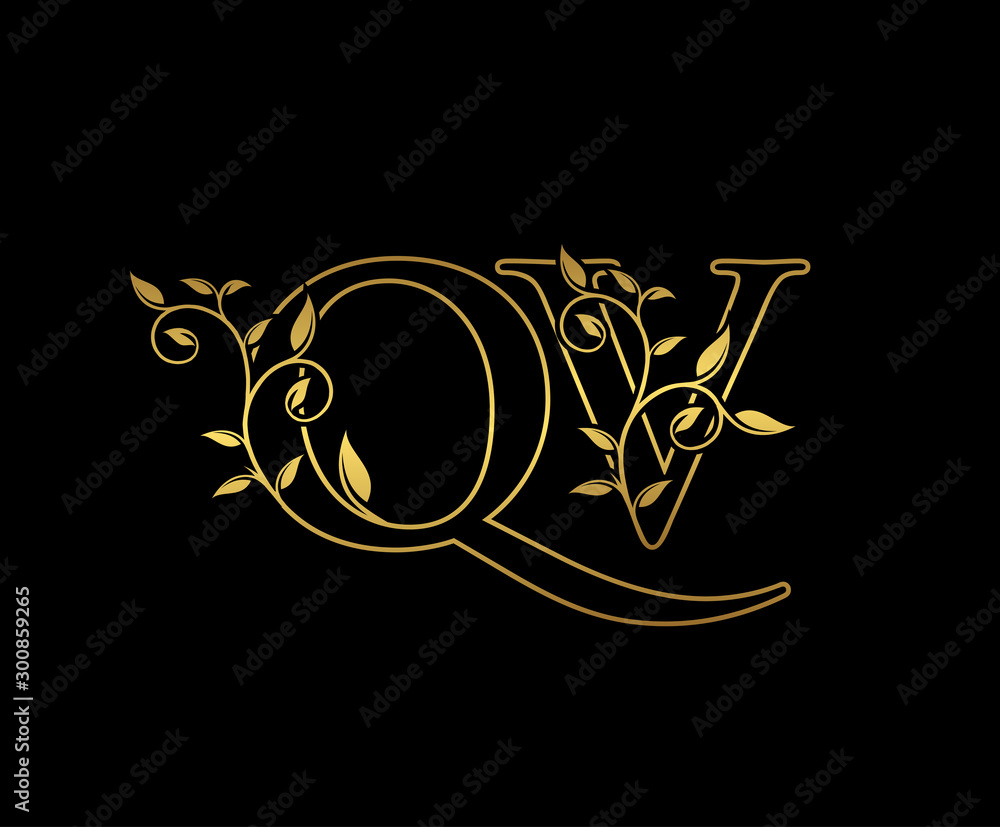 Gold letter Q and V, QV vintage decorative ornament emblem badge ...