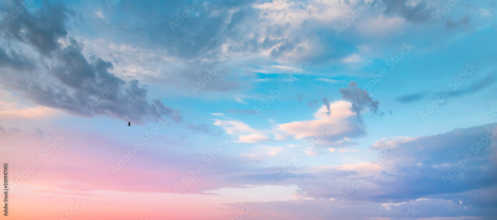 Beautiful sunset sky. Nature sky backgrounds. Stock Photo | Adobe Stock