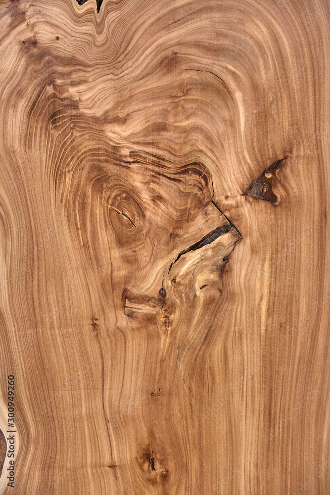 Live edge elm slab with a beautiful wood texture Stock Photo | Adobe Stock