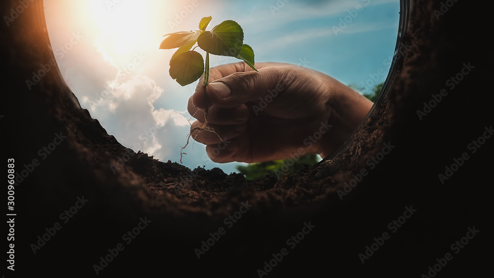 Save Earth Planet World Concept. By planting trees Stock Photo | Adobe ...